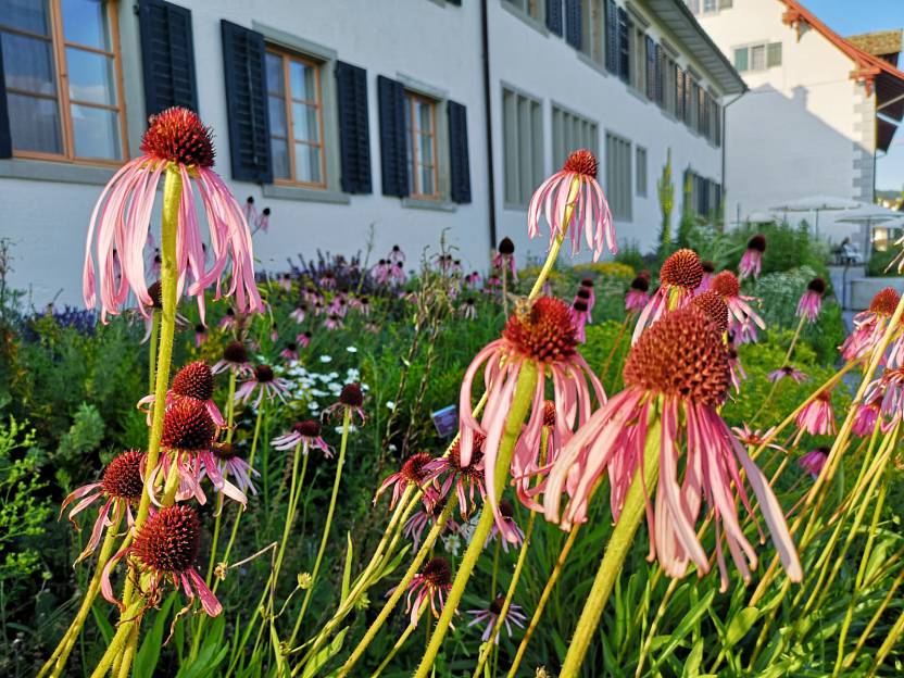 Kloster Kappel :: DE